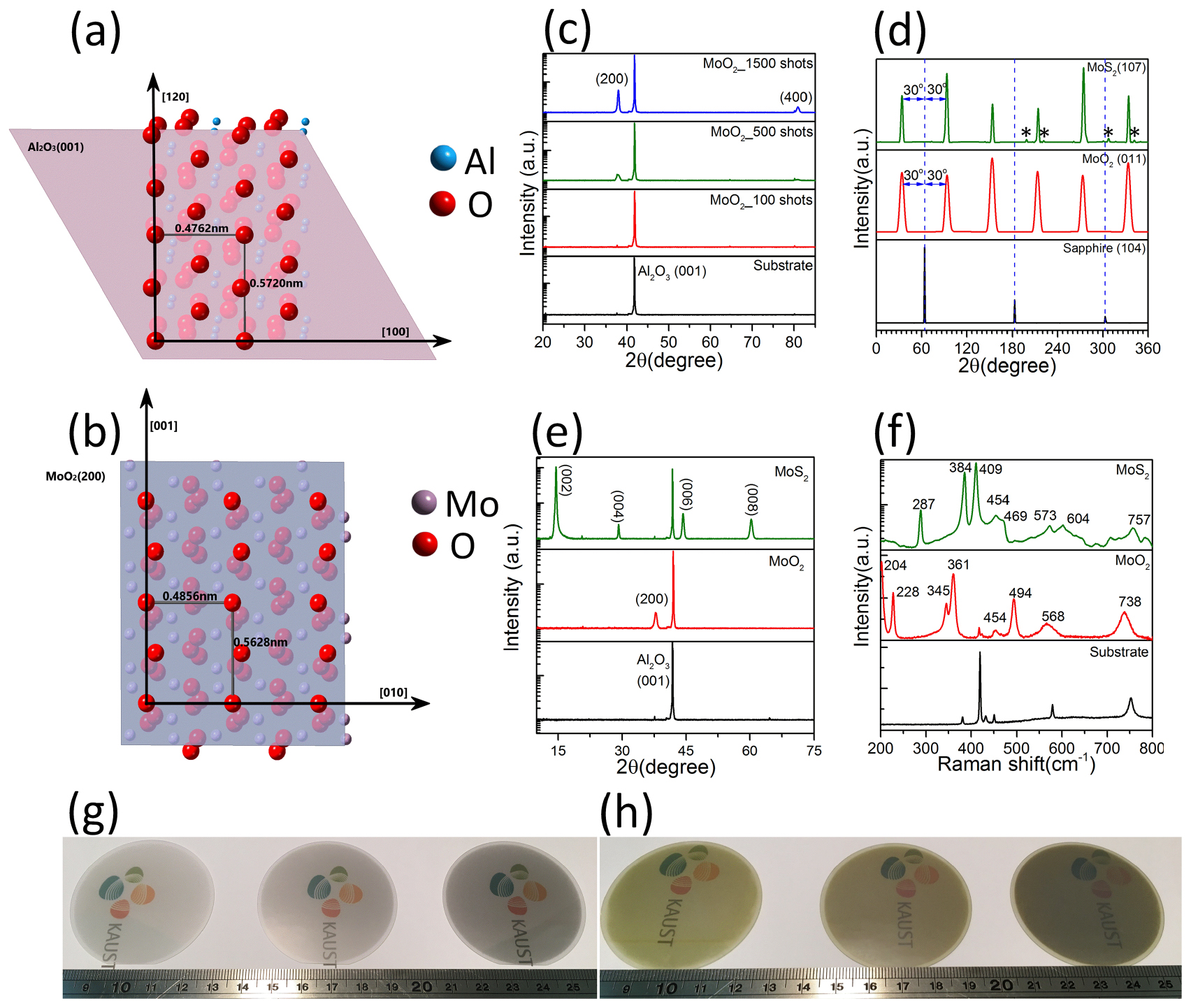 Wafer scale quasi single crystalline MoS2 realized by epitaxial phase ...