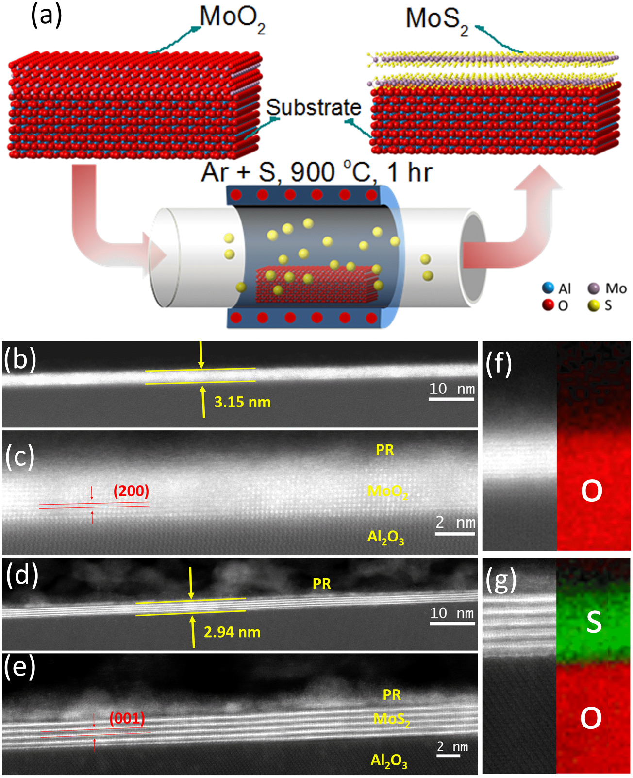 Wafer scale quasi single crystalline MoS2 realized by epitaxial phase ...