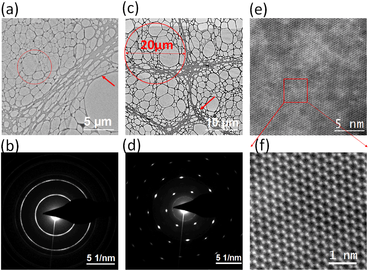 Wafer scale quasi single crystalline MoS2 realized by epitaxial phase ...