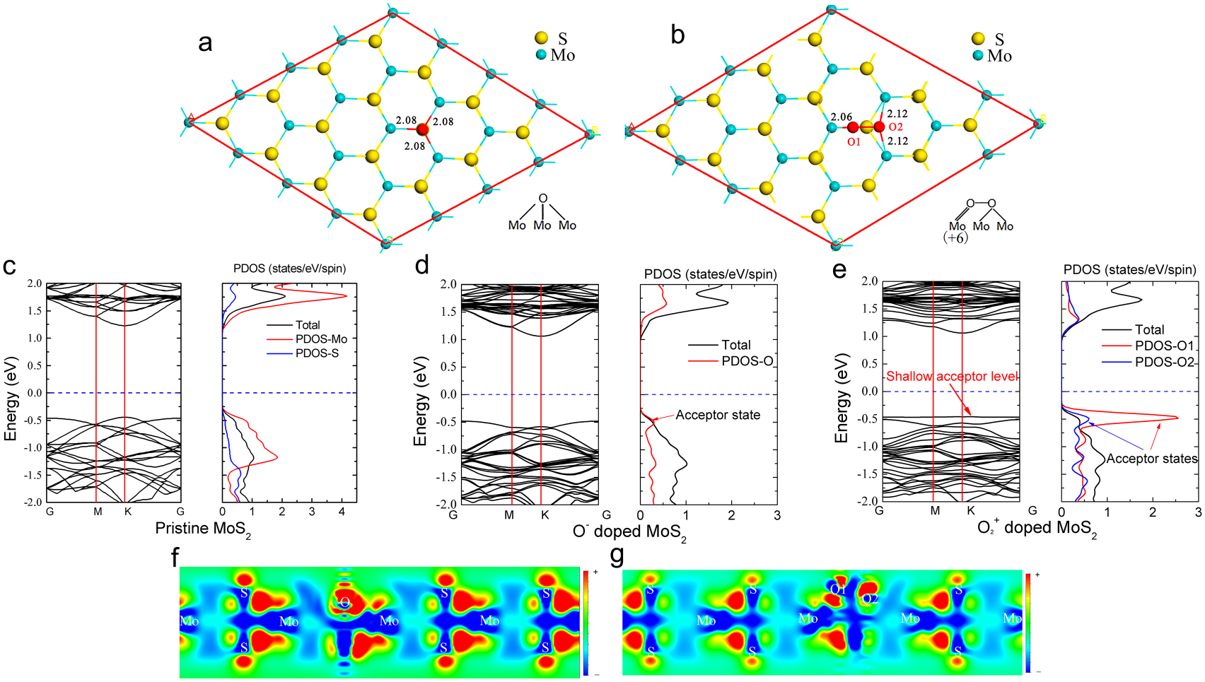 High-performance p-type MoS2 field-effect transistor by toroidal ...