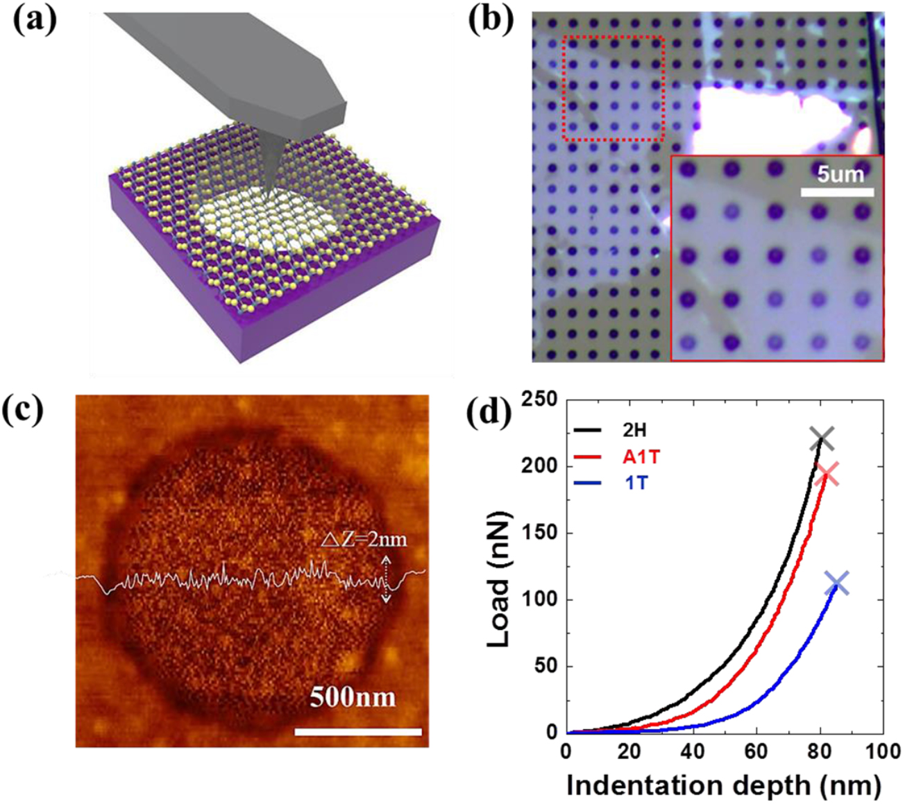 Mechanical characterization of phase-changed single-layer MoS2 sheets ...