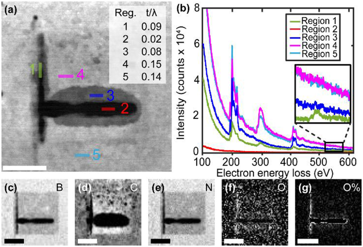 Nanometre electron beam sculpting of suspended graphene and hexagonal ...
