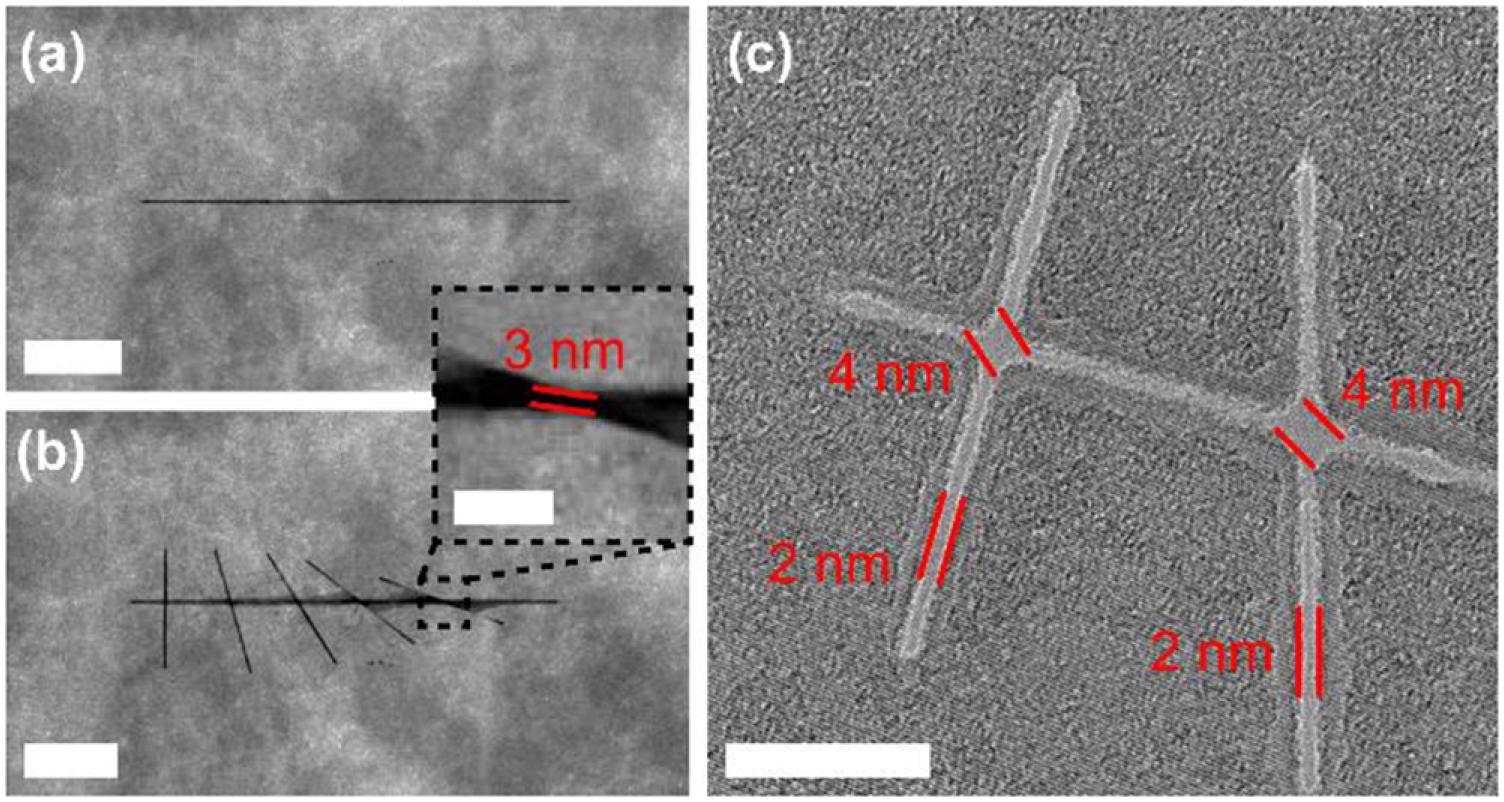 Nanometre electron beam sculpting of suspended graphene and hexagonal ...