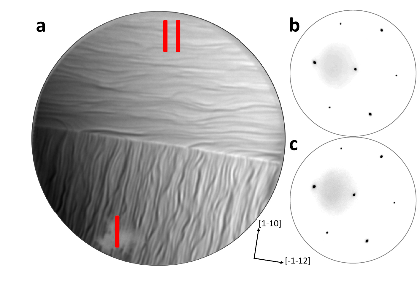 Polar edges and their consequences for the structure and shape of hBN islands - IOPscience