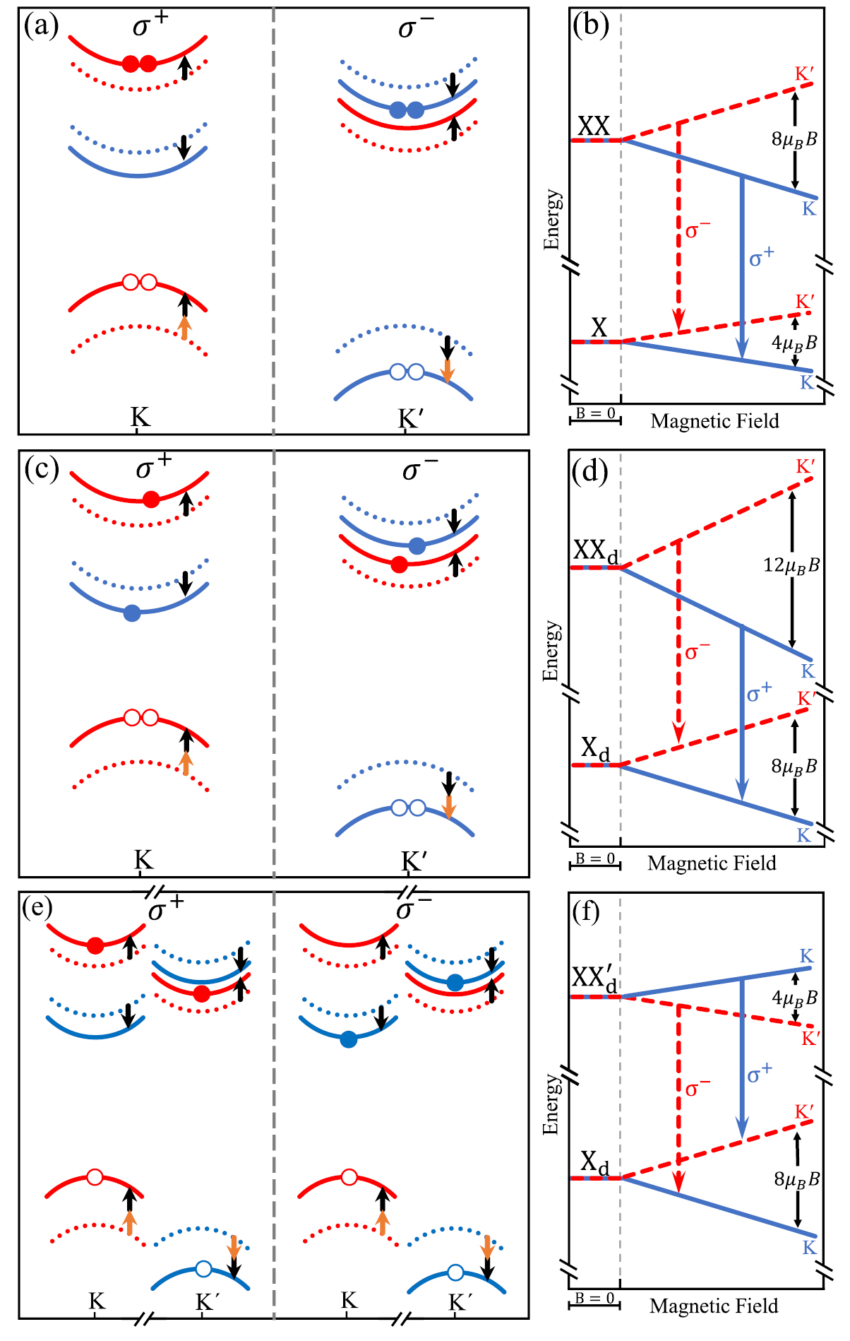 Controlling valley splitting and polarization of dark- and bi-excitons ...