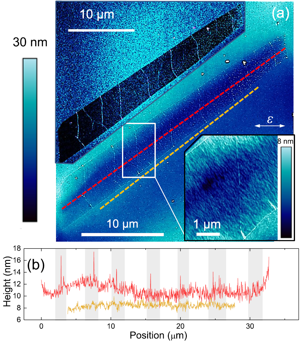 Interfacial stress transfer in strain engineered wrinkled and folded ...