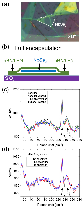 Air tightness of hBN encapsulation and its impact on Raman spectroscopy ...