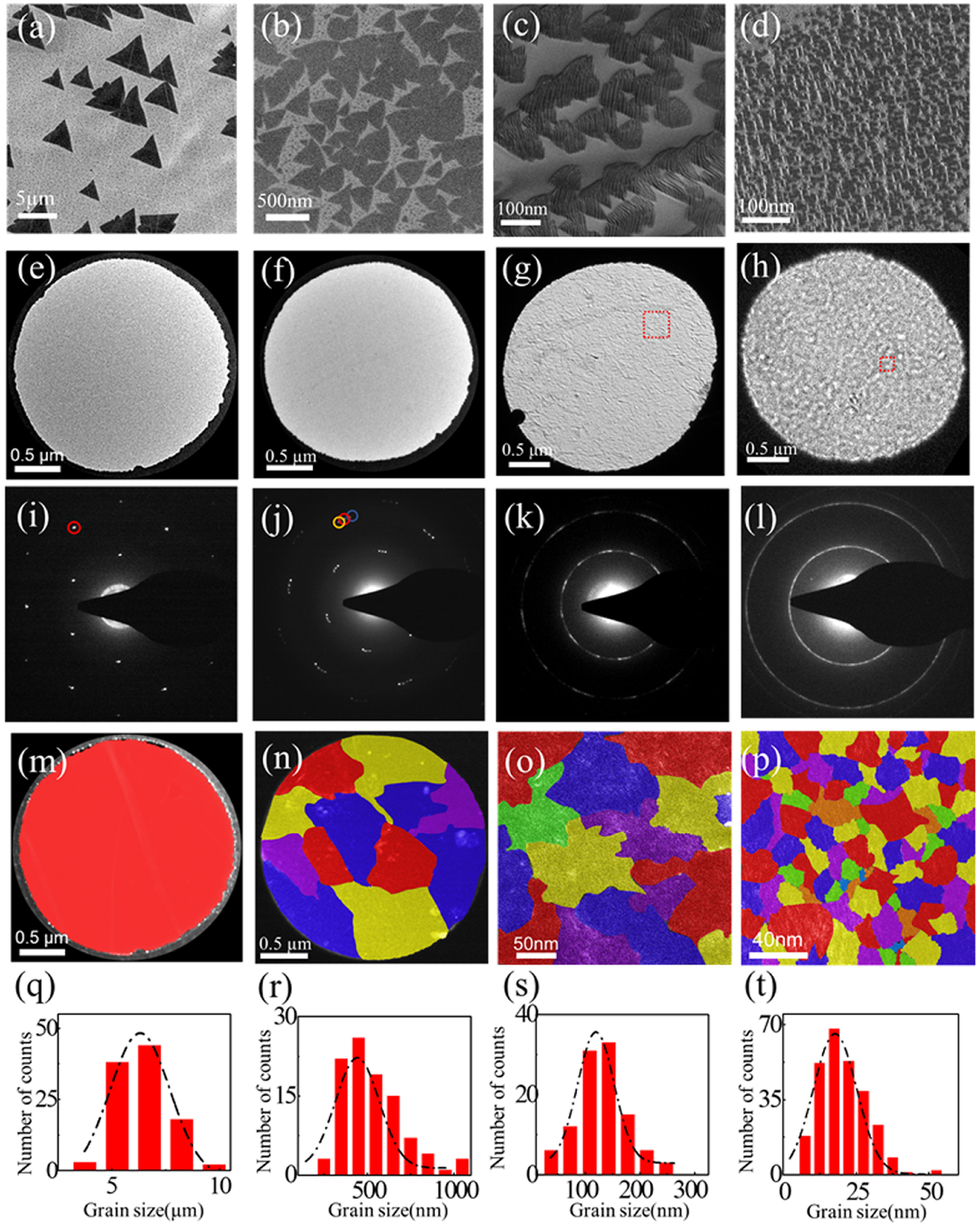Tailoring the thermal transport properties of monolayer hexagonal boron ...