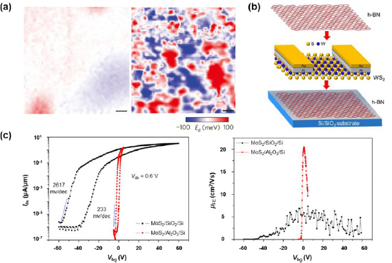 2D semiconducting materials for electronic and optoelectronic ...
