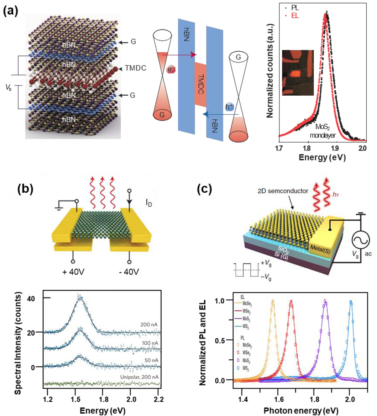 2D semiconducting materials for electronic and optoelectronic ...