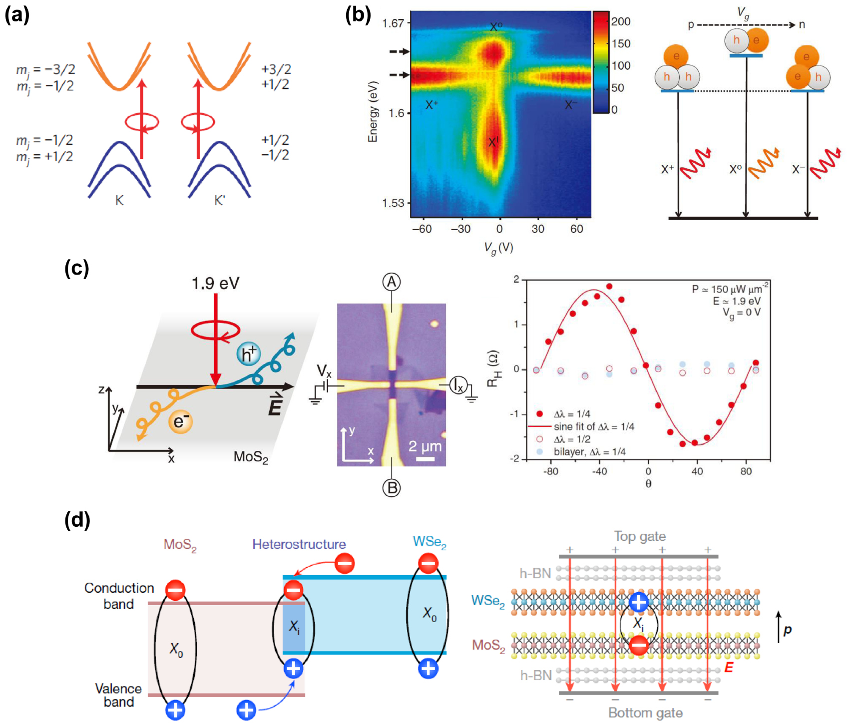 2D semiconducting materials for electronic and optoelectronic ...