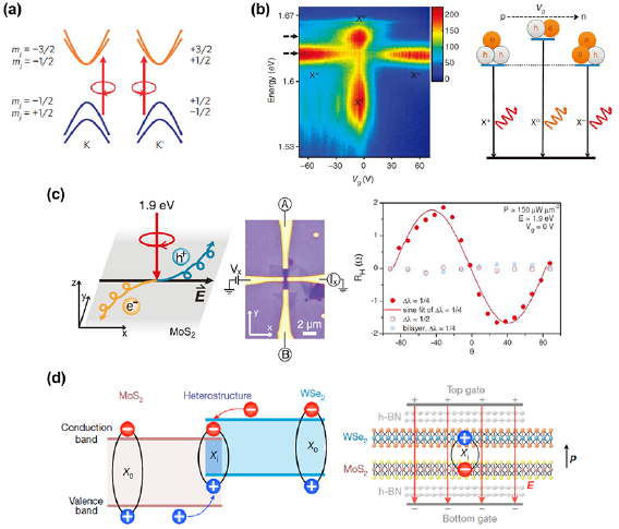 2D semiconducting materials for electronic and optoelectronic ...
