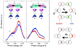 2D semiconducting materials for electronic and optoelectronic ...