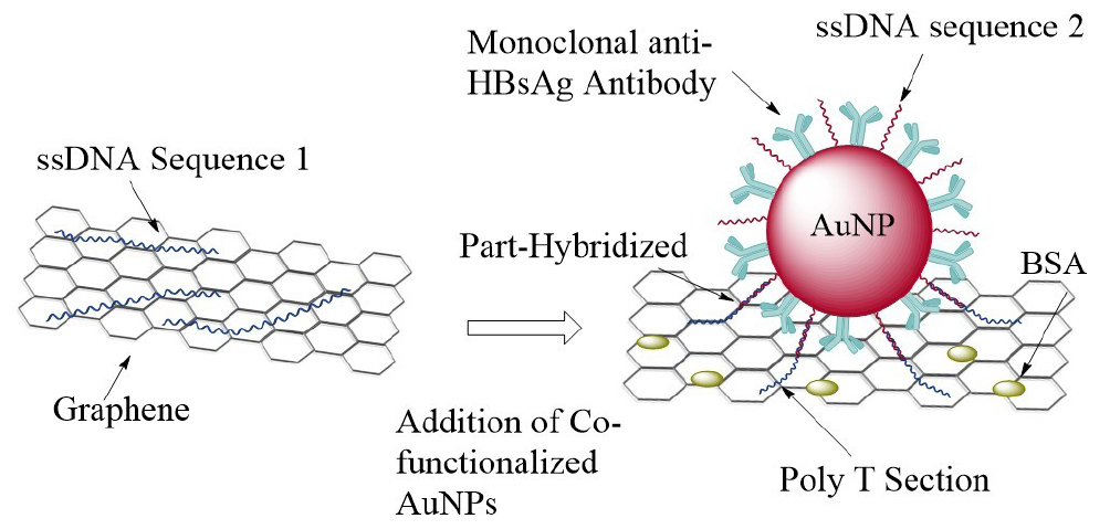 Real-time detection of hepatitis B surface antigen using a hybrid ...