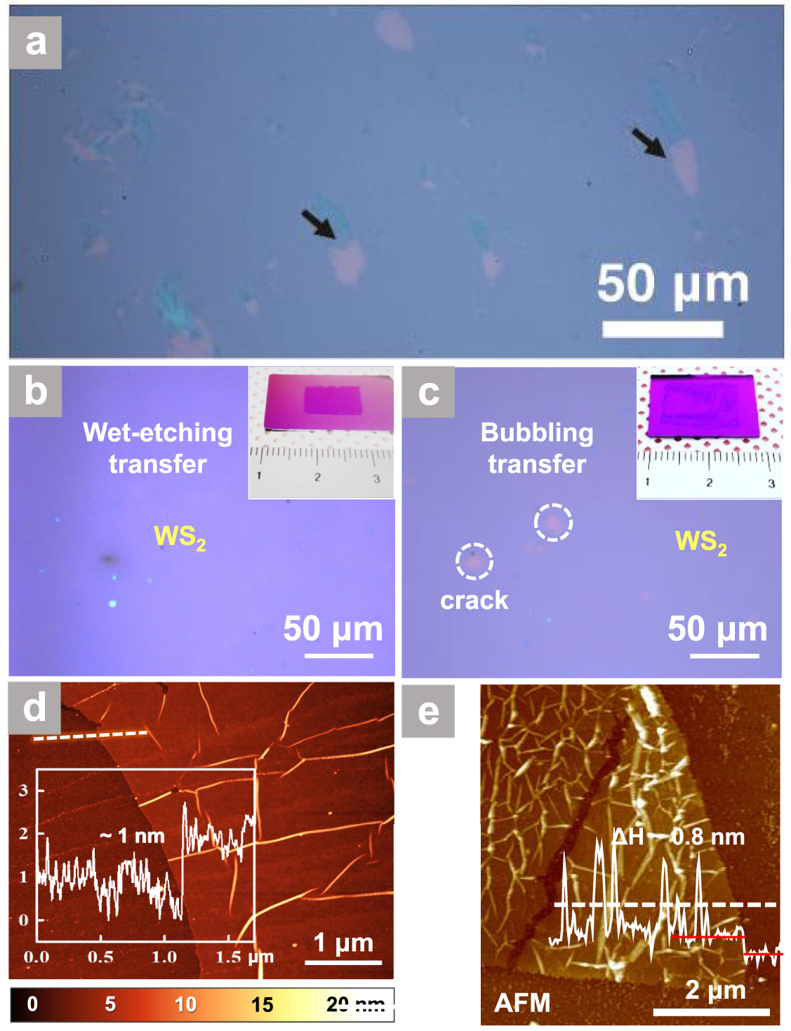 Transfer of large-scale two-dimensional semiconductors: challenges and ...