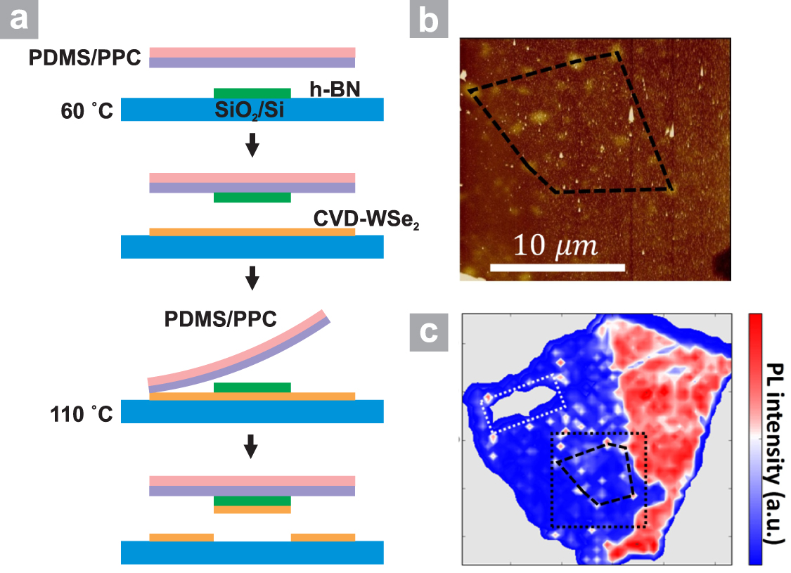 Transfer of large-scale two-dimensional semiconductors: challenges and ...