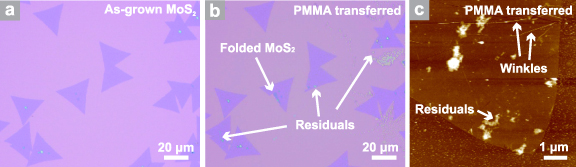 Transfer of large-scale two-dimensional semiconductors: challenges and ...