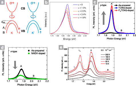 Transfer of large-scale two-dimensional semiconductors: challenges and ...
