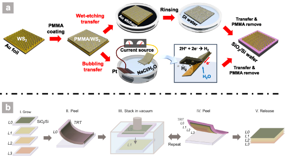 Transfer of large-scale two-dimensional semiconductors: challenges and ...
