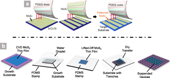 Transfer of large-scale two-dimensional semiconductors: challenges and ...