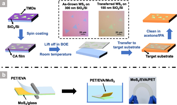 Transfer of large-scale two-dimensional semiconductors: challenges and ...
