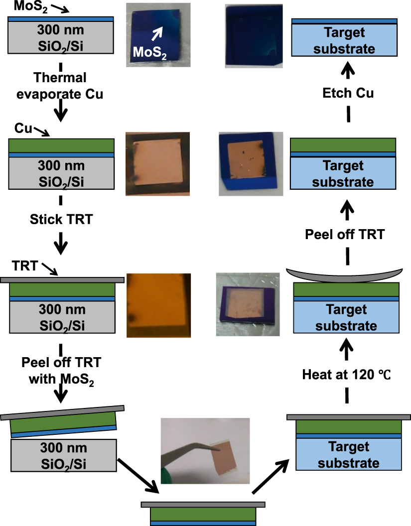 Transfer of large-scale two-dimensional semiconductors: challenges and ...