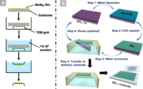 Transfer of large-scale two-dimensional semiconductors: challenges and ...