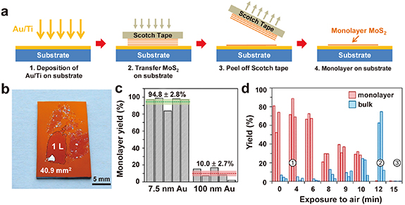 Advanced tape-exfoliated method for preparing large-area 2D monolayers ...