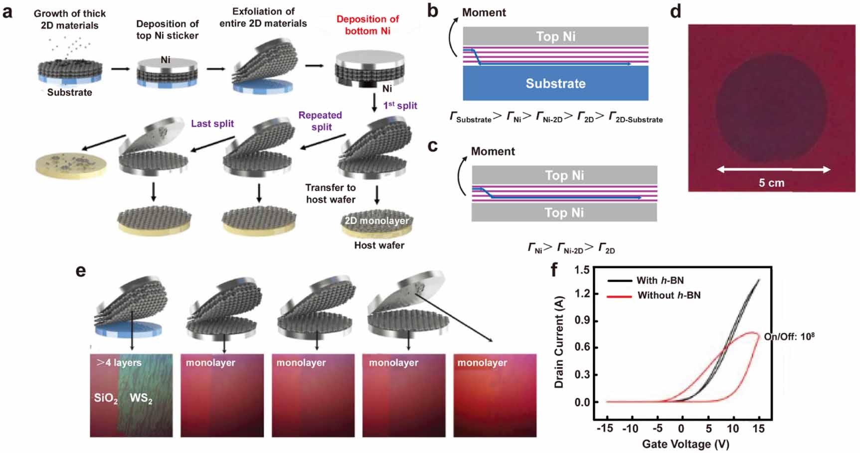 Advanced tape-exfoliated method for preparing large-area 2D monolayers ...