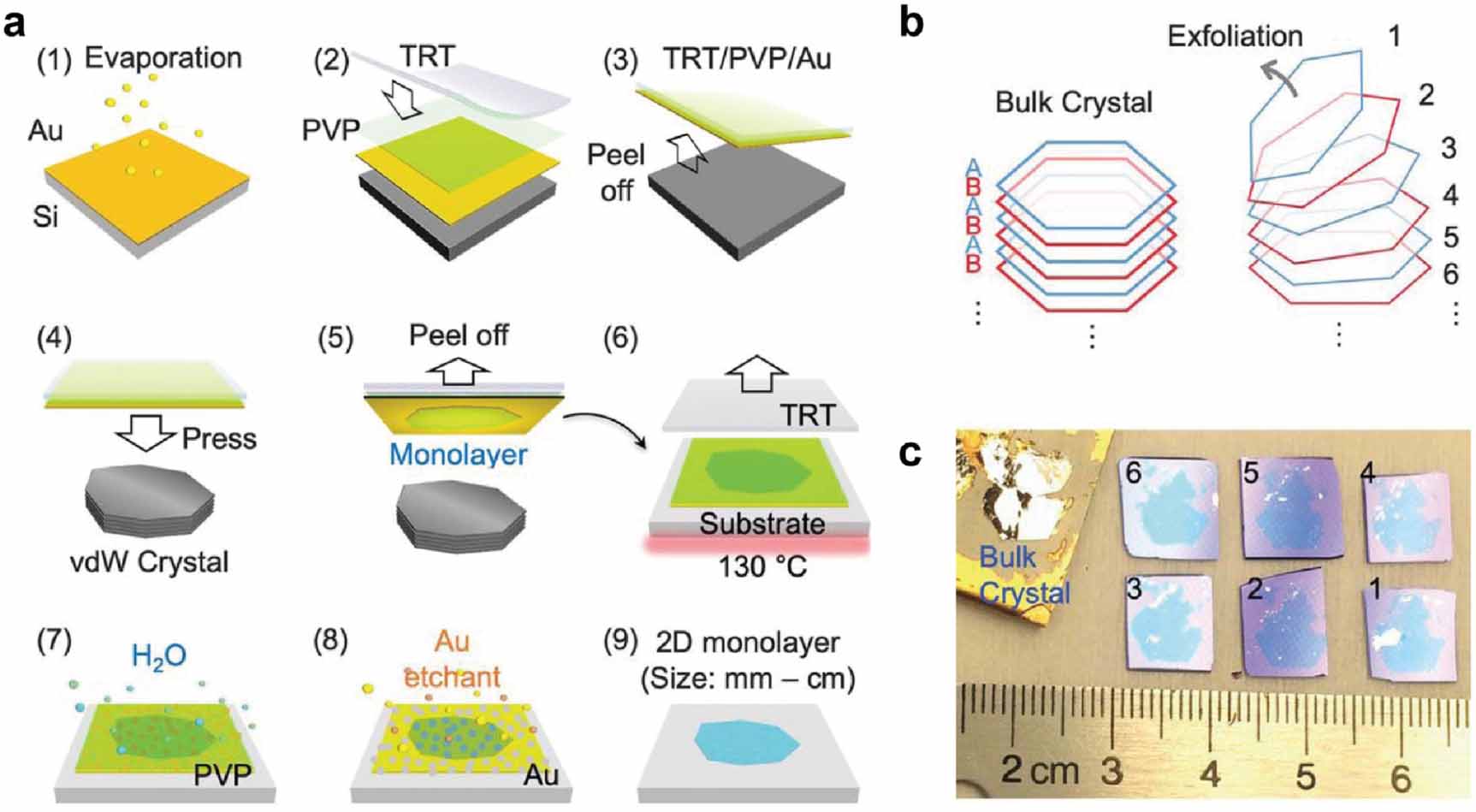 Advanced tape-exfoliated method for preparing large-area 2D monolayers ...