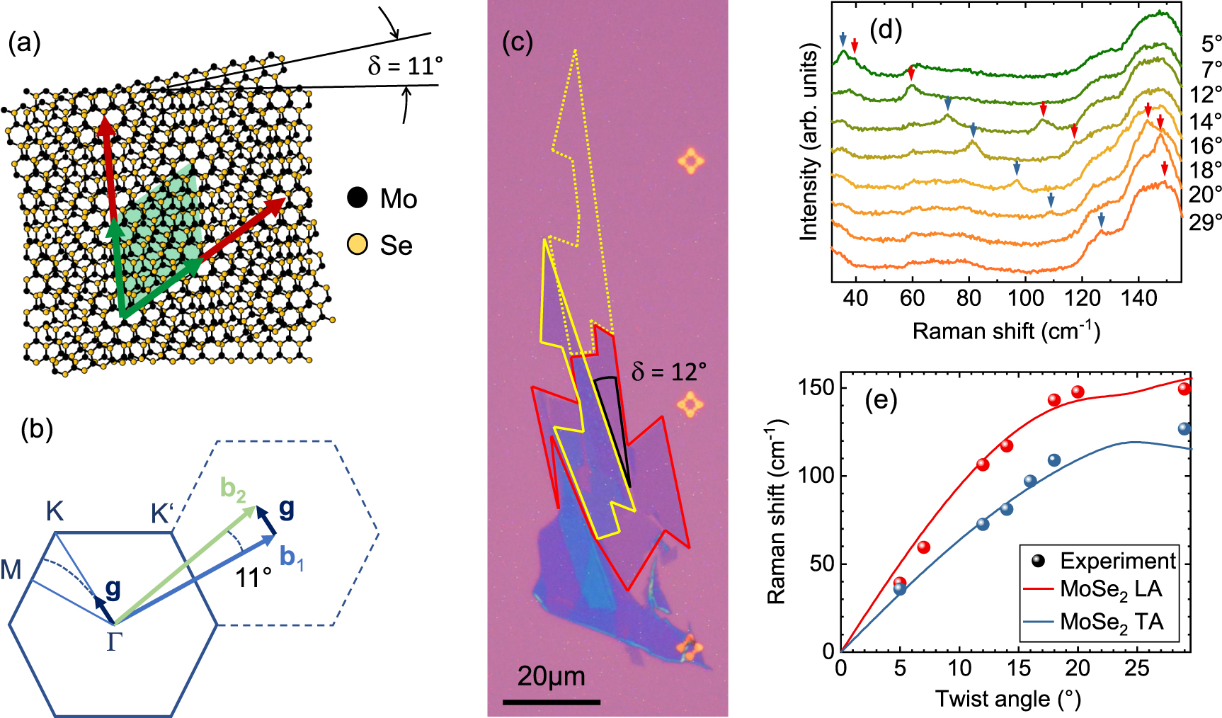 Moiré phonons in twisted MoSe2–WSe2 heterobilayers and their ...