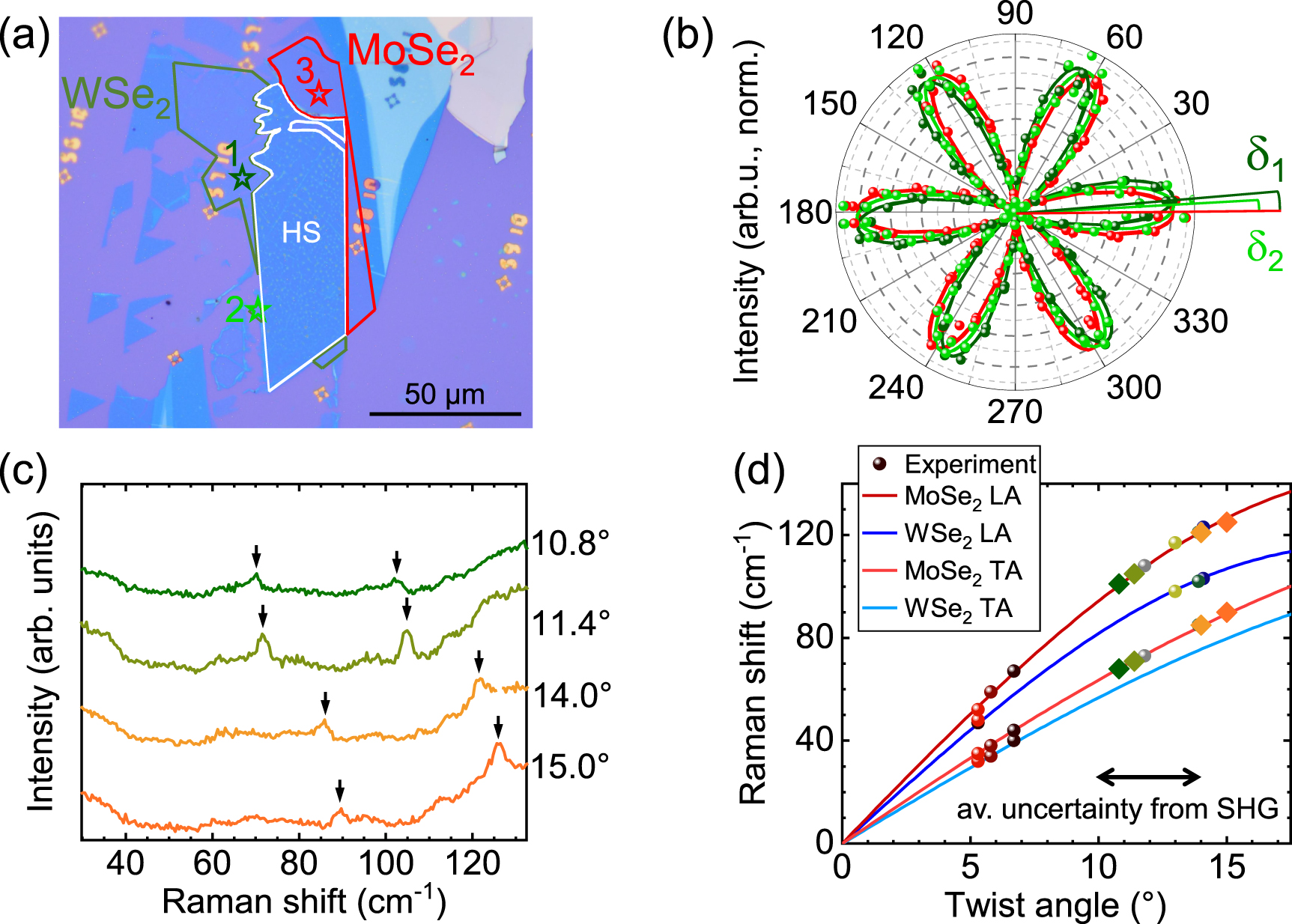 Moiré phonons in twisted MoSe2–WSe2 heterobilayers and their ...