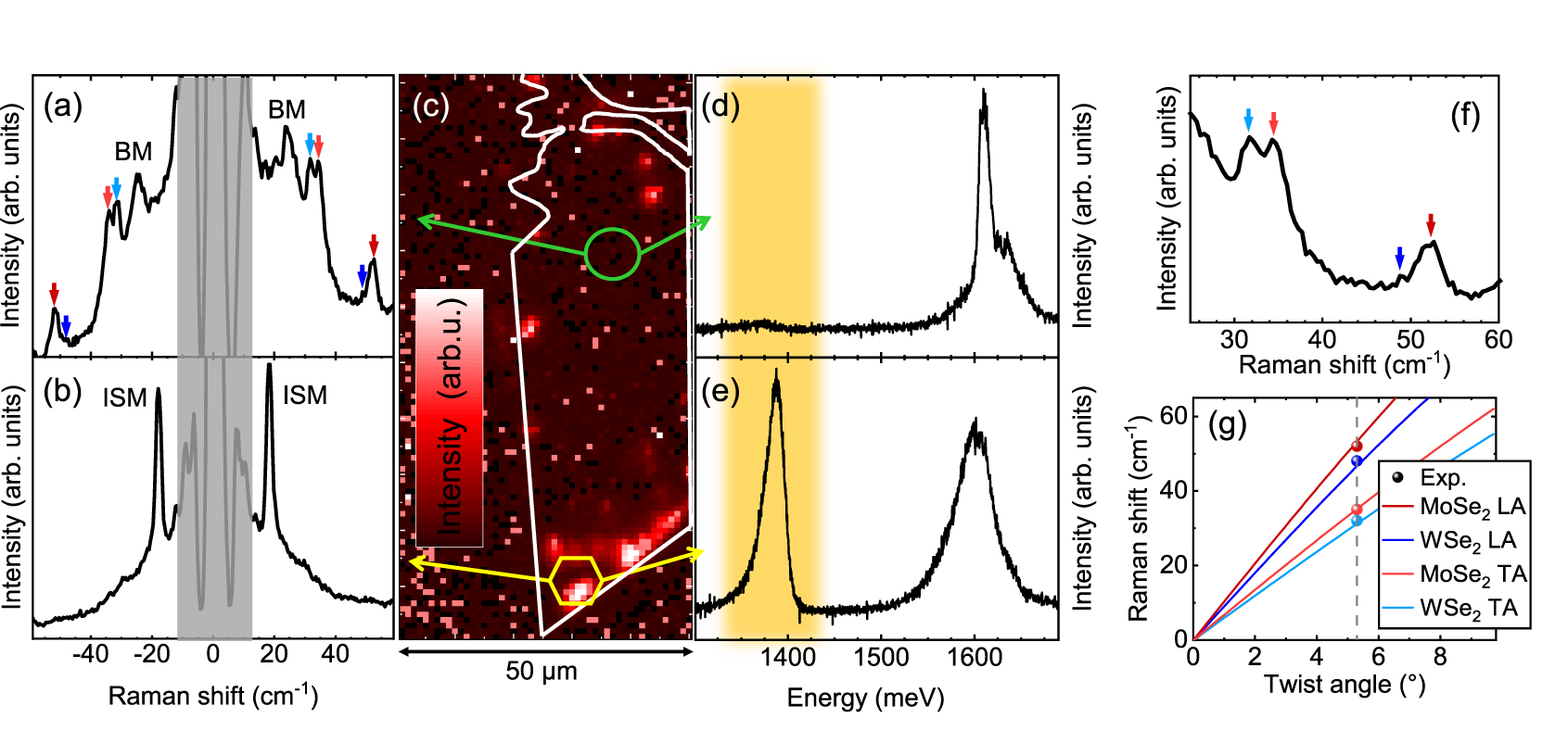 Moiré phonons in twisted MoSe2–WSe2 heterobilayers and their ...