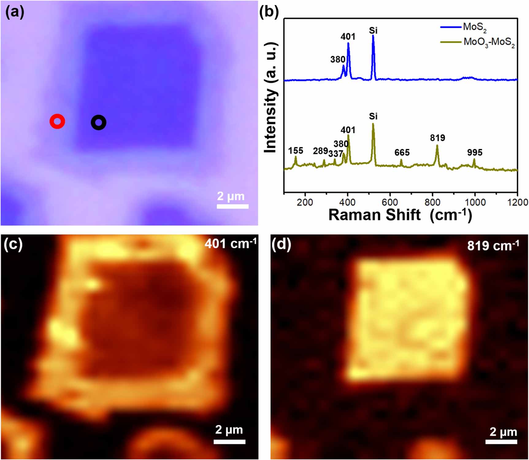 MoO3–MoS2 vertical heterostructures synthesized via one-step CVD ...