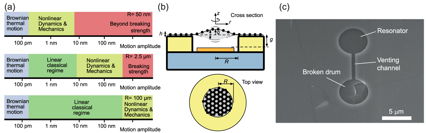 Dynamics of 2D material membranes - IOPscience