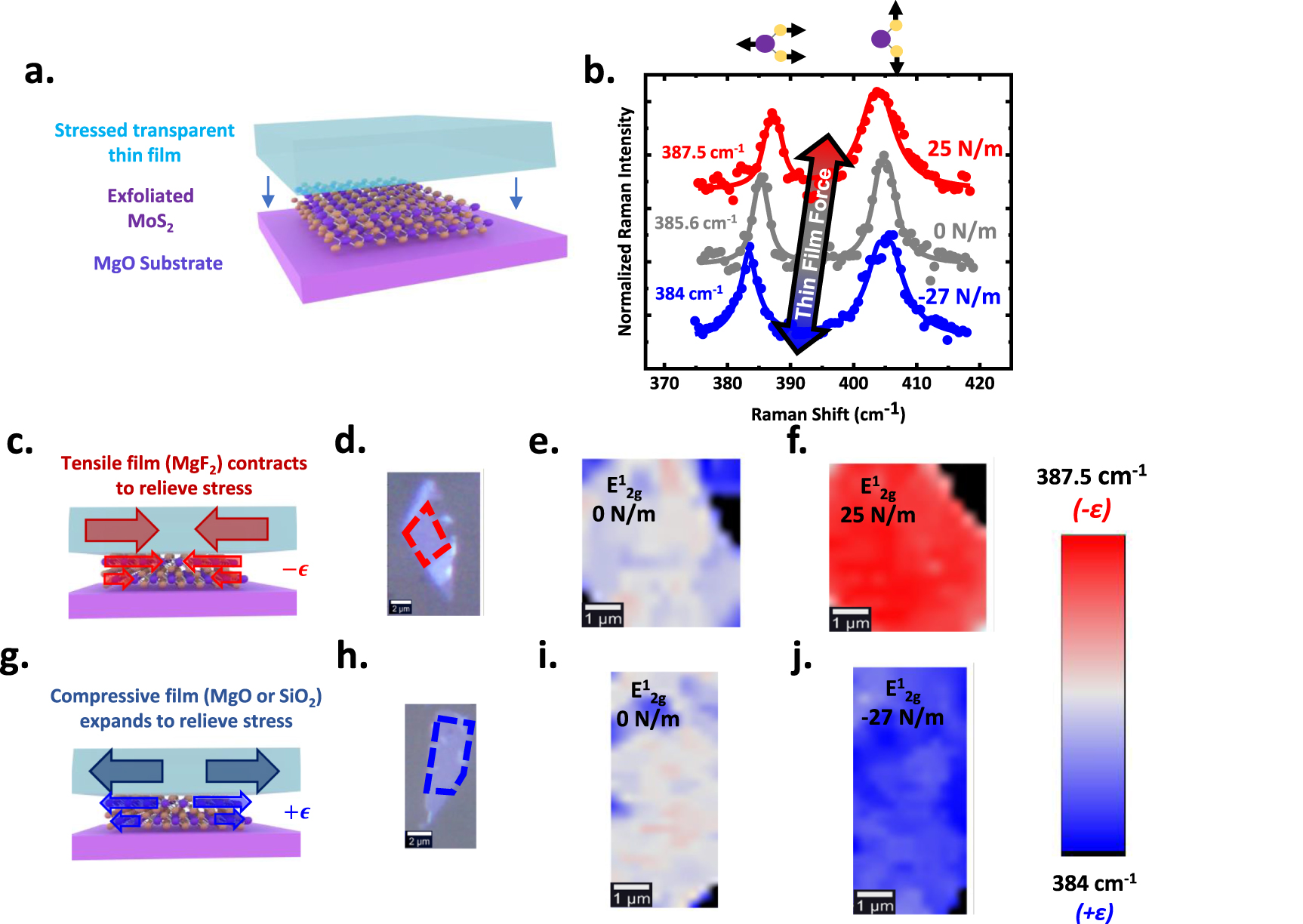 Strain engineering 2D MoS2 with thin film stress capping layers ...
