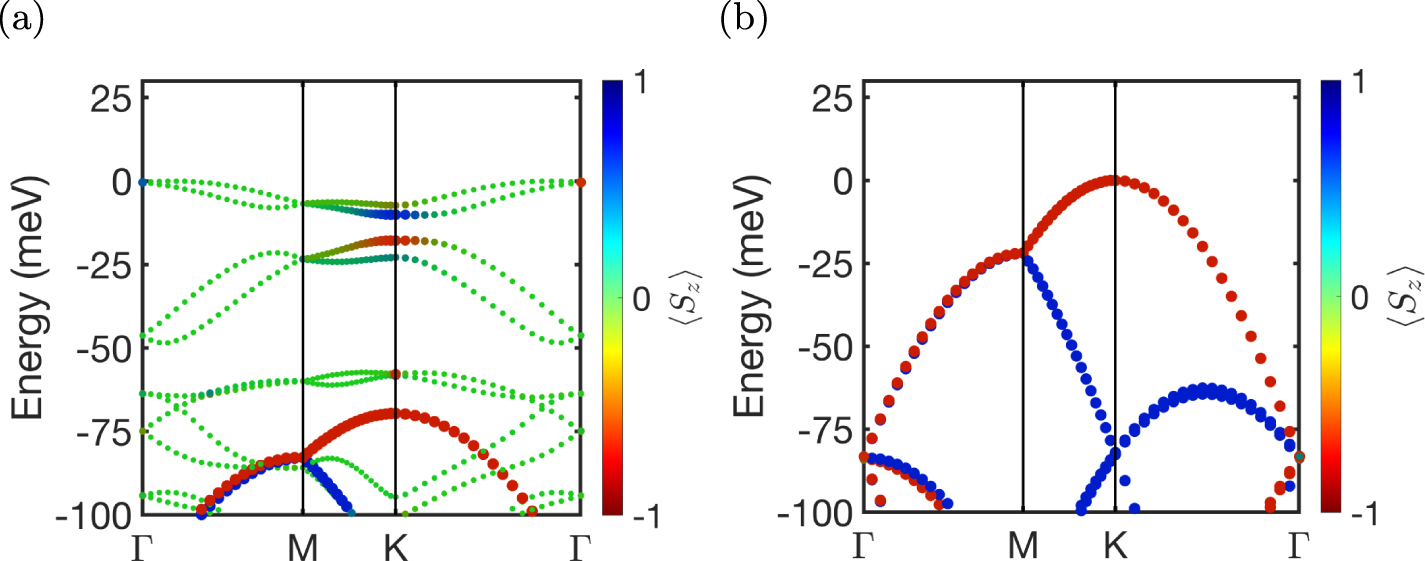 Flat band properties of twisted transition metal dichalcogenide homo ...