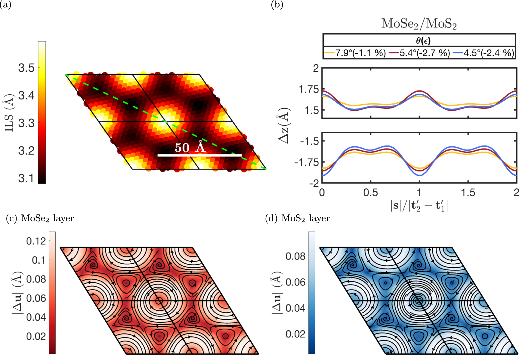 Flat band properties of twisted transition metal dichalcogenide homo ...