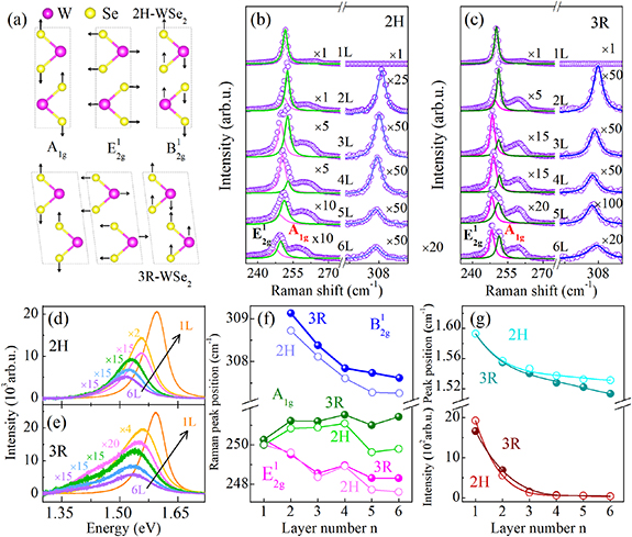 Controllable growth of multilayered XSe2 (X = W and Mo) for nonlinear ...