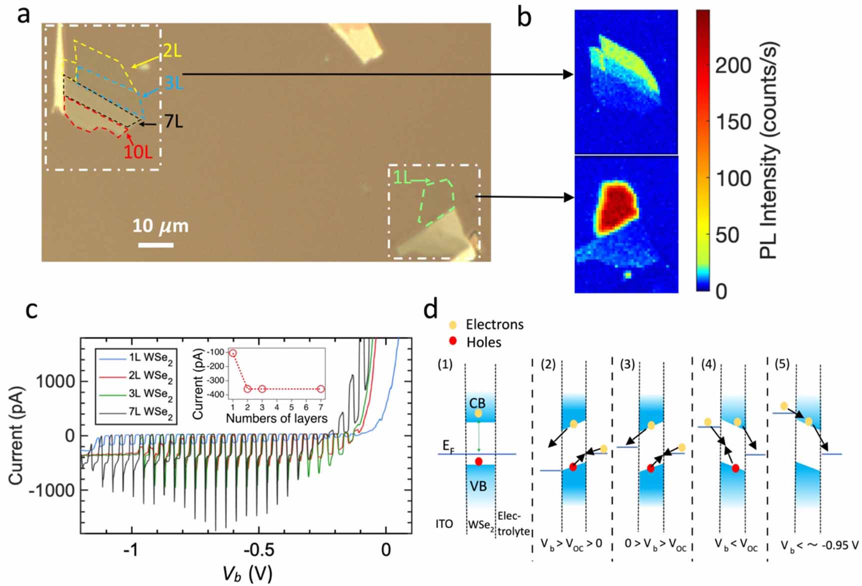 Layer and material-type dependent photoresponse in WSe2/WS2 vertical ...