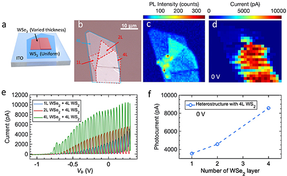 Layer and material-type dependent photoresponse in WSe2/WS2 vertical ...