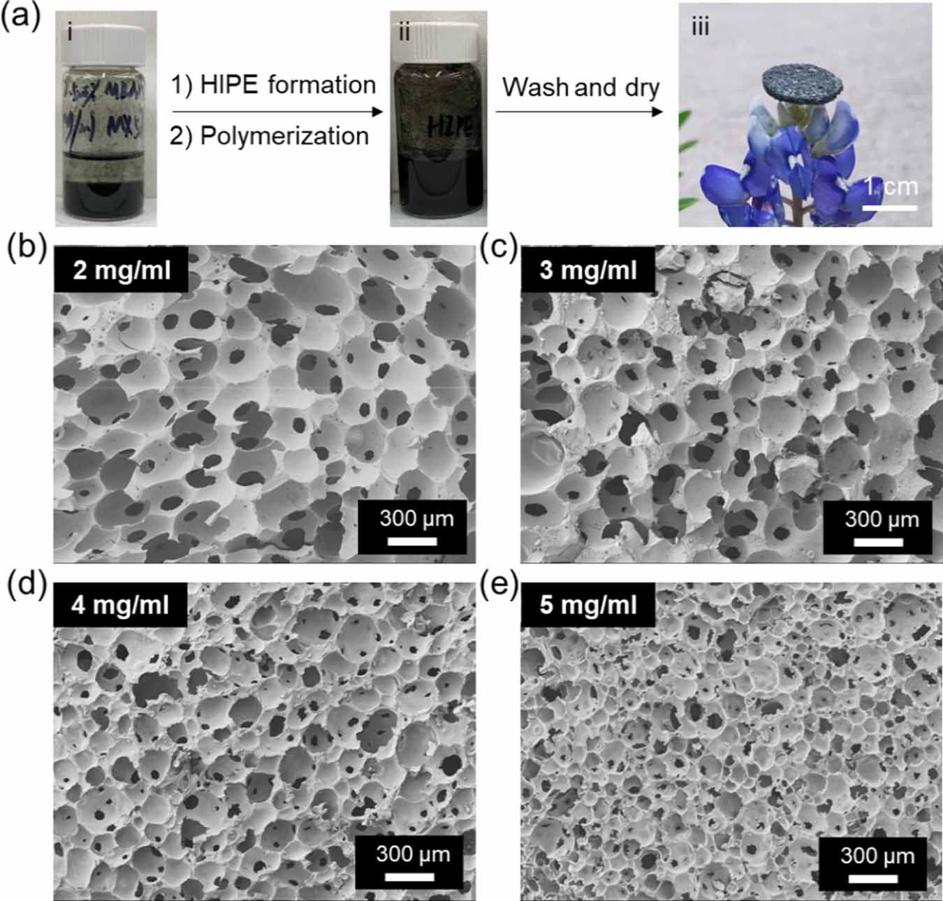 Electrically conductive porous Ti3C2T x MXene-polymer composites from ...