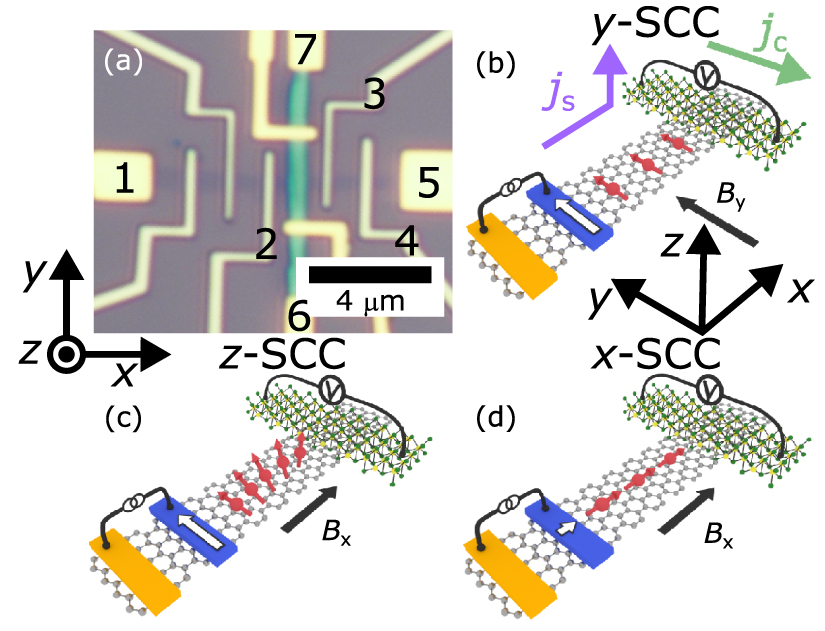 Omnidirectional spin-to-charge conversion in graphene/NbSe2 van der ...