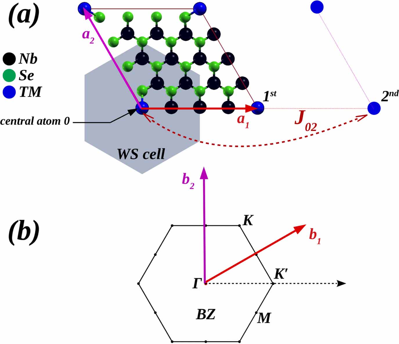 Magnetism between magnetic adatoms on monolayer NbSe2 - IOPscience