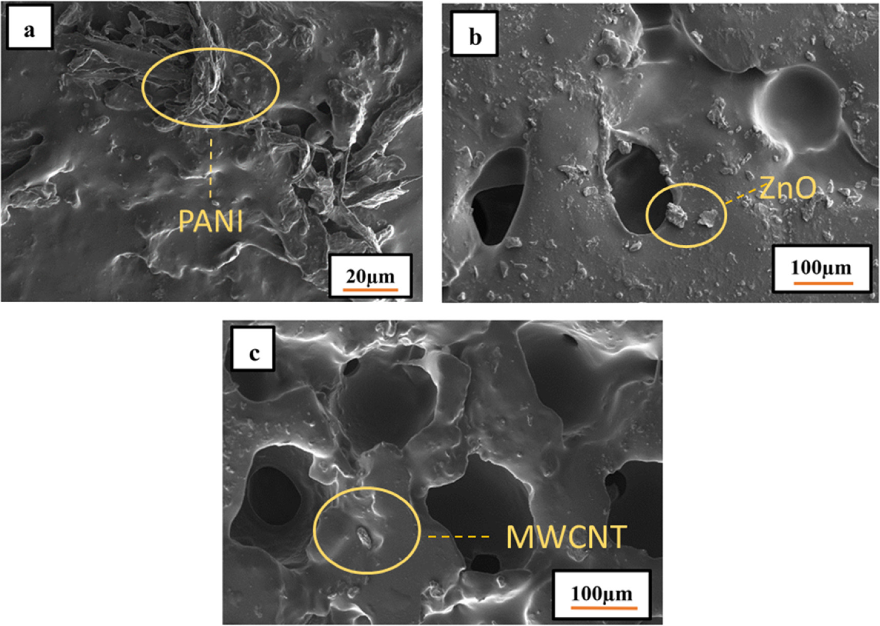 A study on flexible bio-based conductive foam for pressure sensing and ...