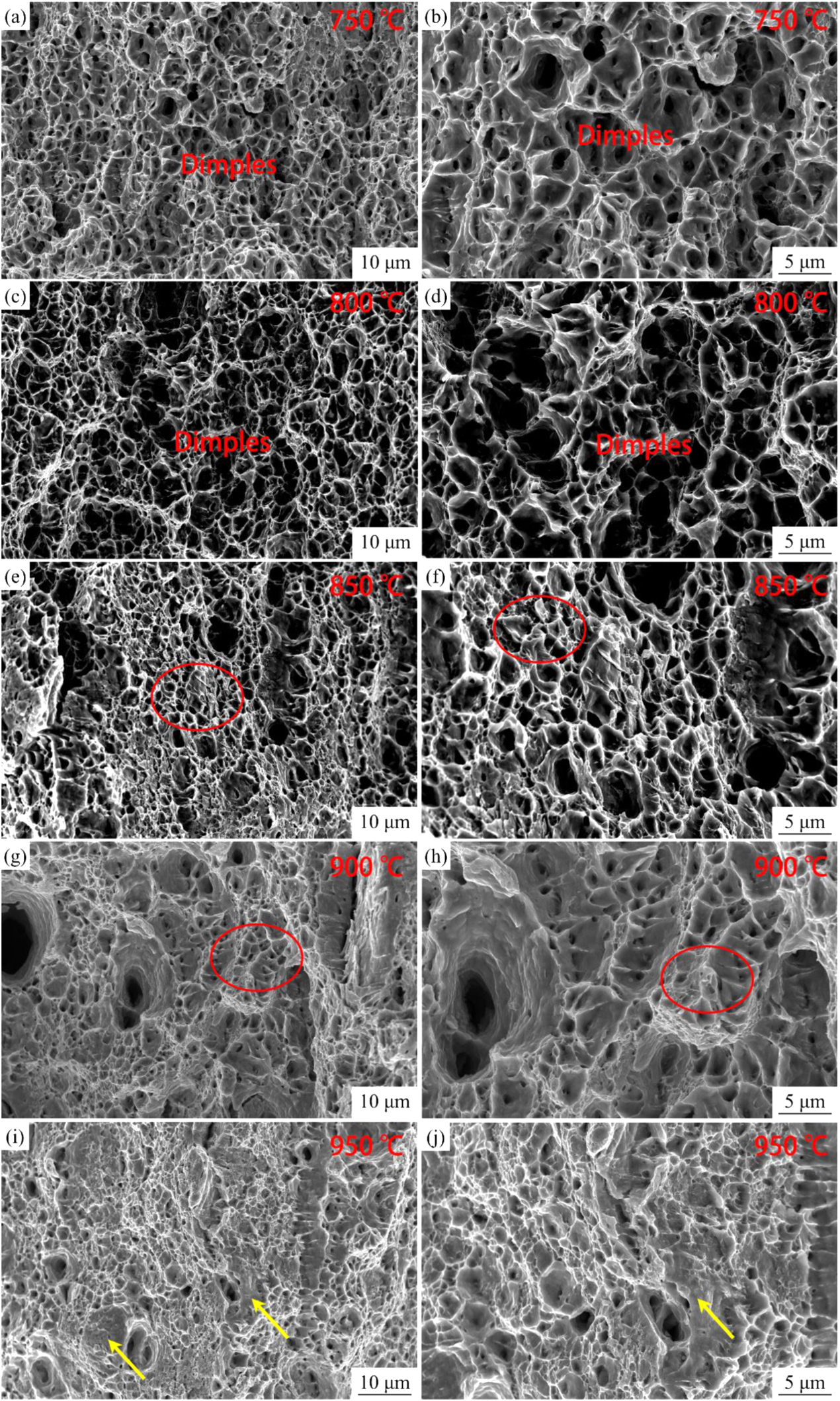 Microstructure evolution and strengthening mechanism of air-hardening steel subjected to the ...