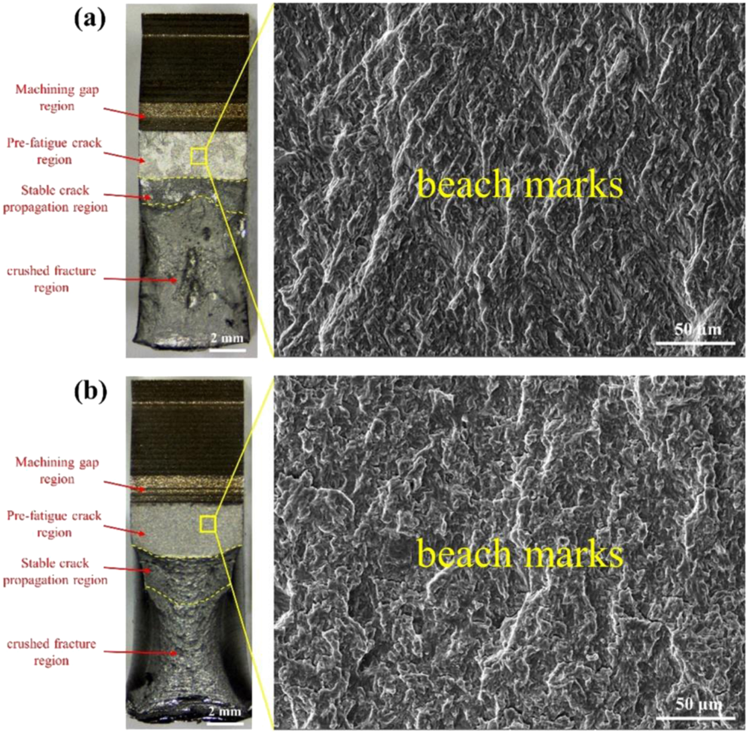 Effect of microstructure heterogeneity on the cryogenic fracture ...