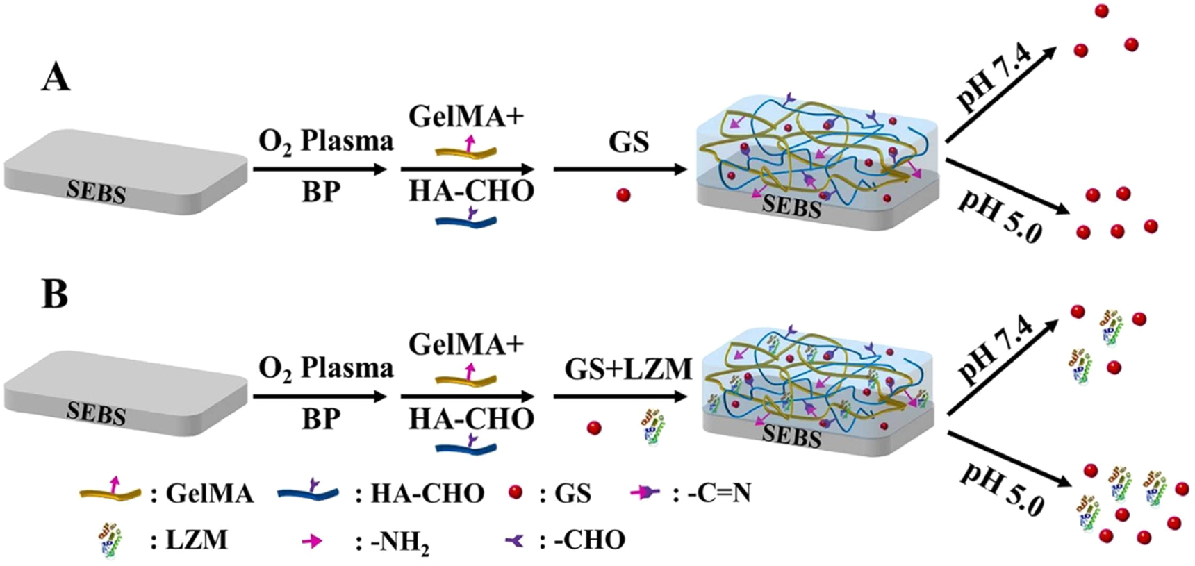 Functional hydrogel dressings for wound management: a comprehensive ...