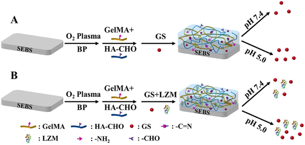 Functional hydrogel dressings for wound management: a comprehensive ...