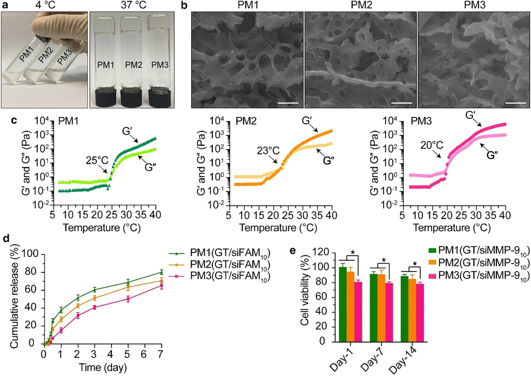 Functional hydrogel dressings for wound management: a comprehensive ...